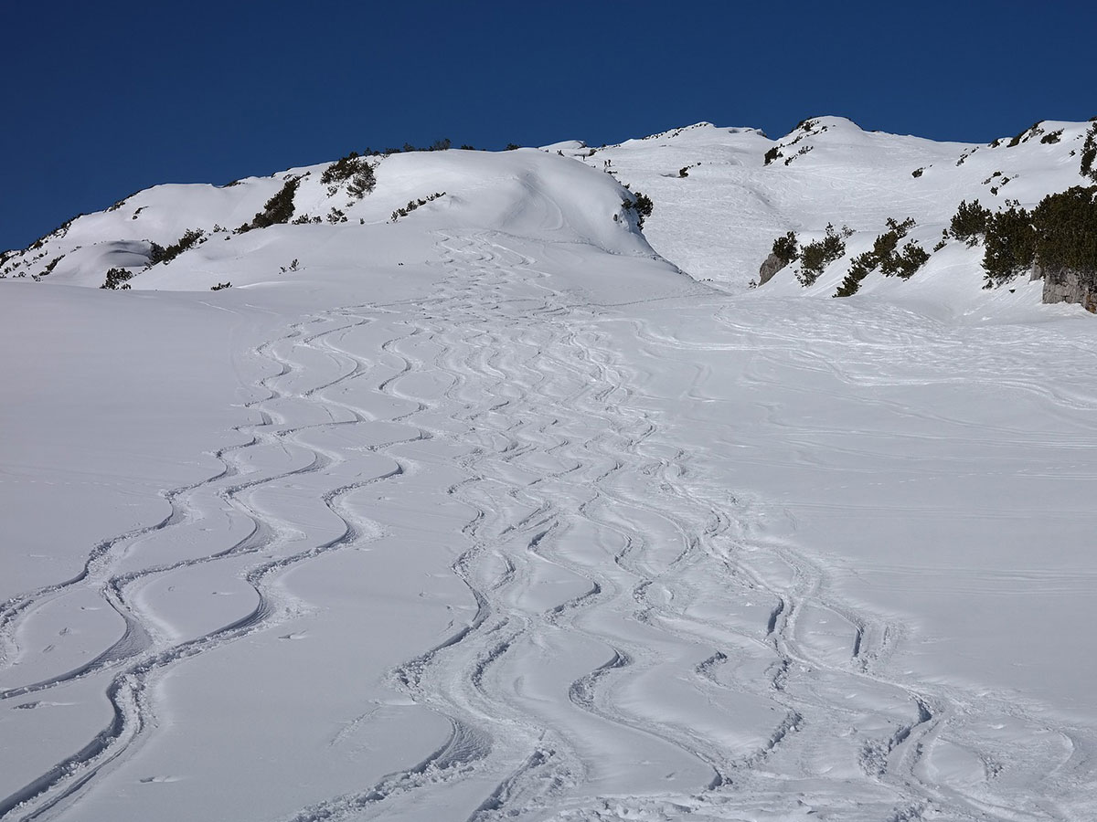 Kein Plan A ohne Plan B - Naturfreunde